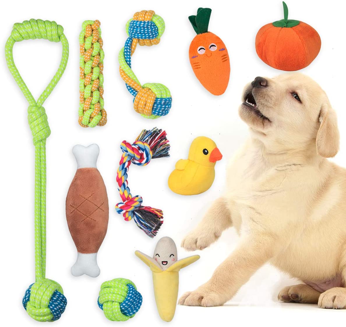 Jouet pour moyens chien Lot de 10 de Jouets à mâcher